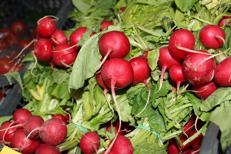 Rotkvice su prave vitaminske bombe - Teglica.ba